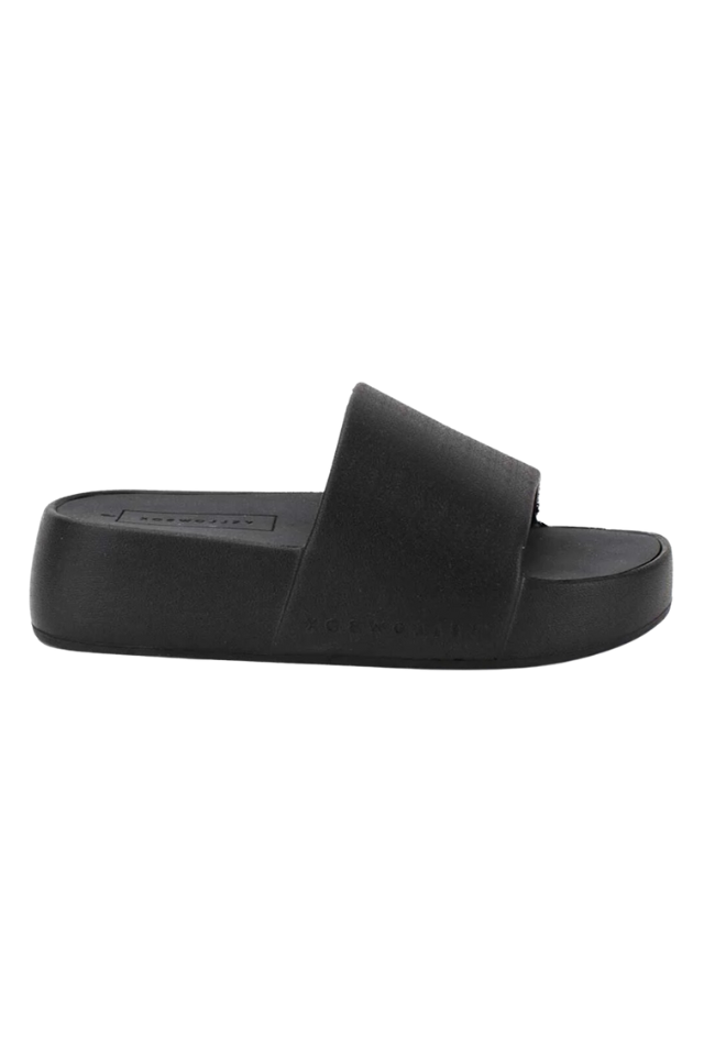 Yellow Box Torrey - Black – Seaside Shoes & Swim